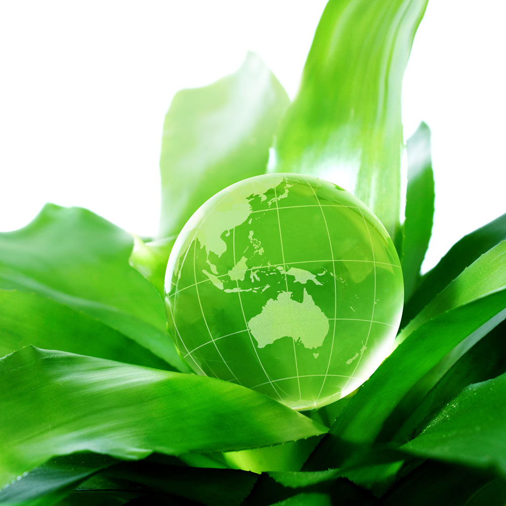 Container Connection100% Recyclable