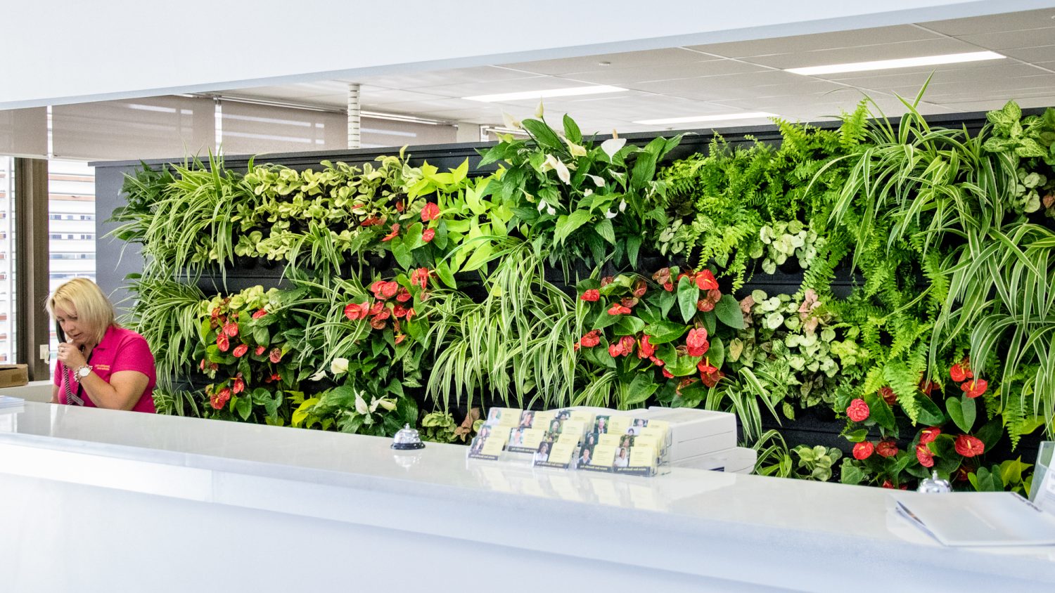 Container ConnectionPlant Walls Reduce Air Pollutants!